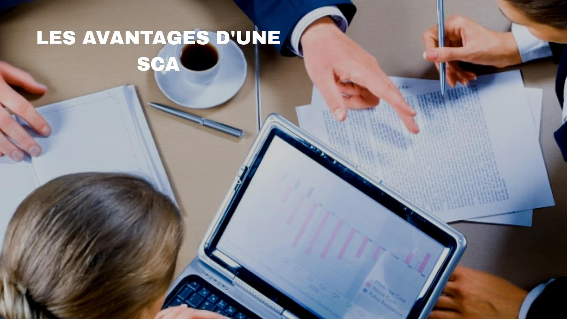 SCA : Choisir un statut juridique souple en organisation